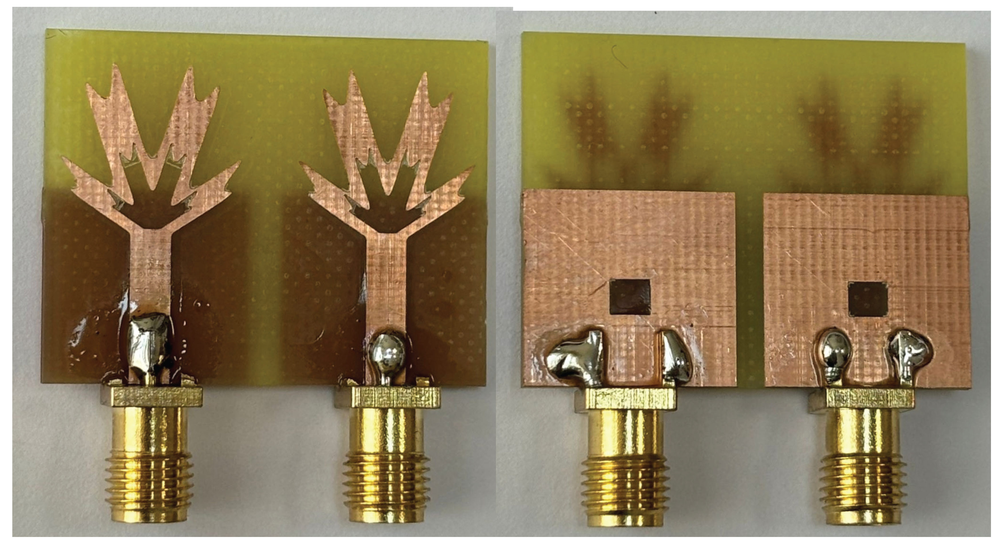 Tulip tree leaf-shaped microstrip MIMO antenna utilizing the ...